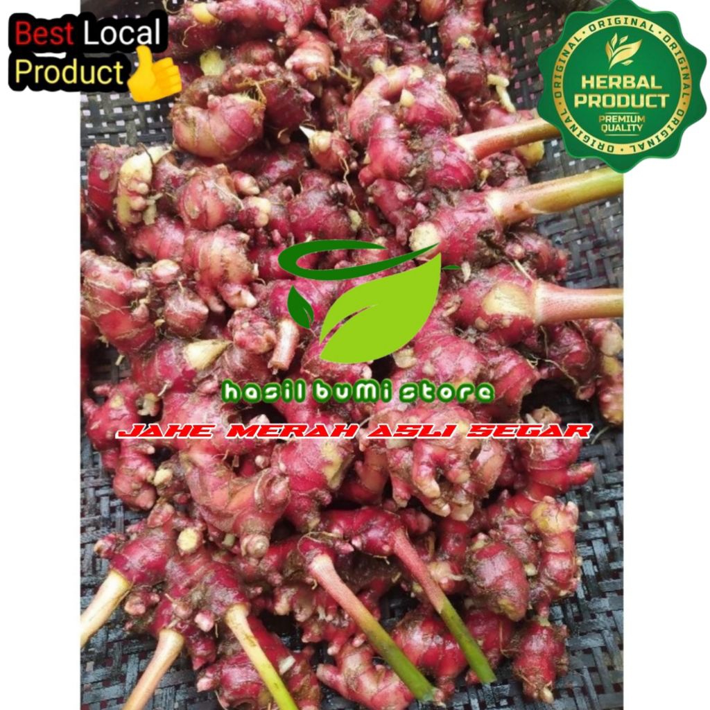 Jual jahe merah segar 1kg berkualitas tinggi asli segar | Shopee Indonesia