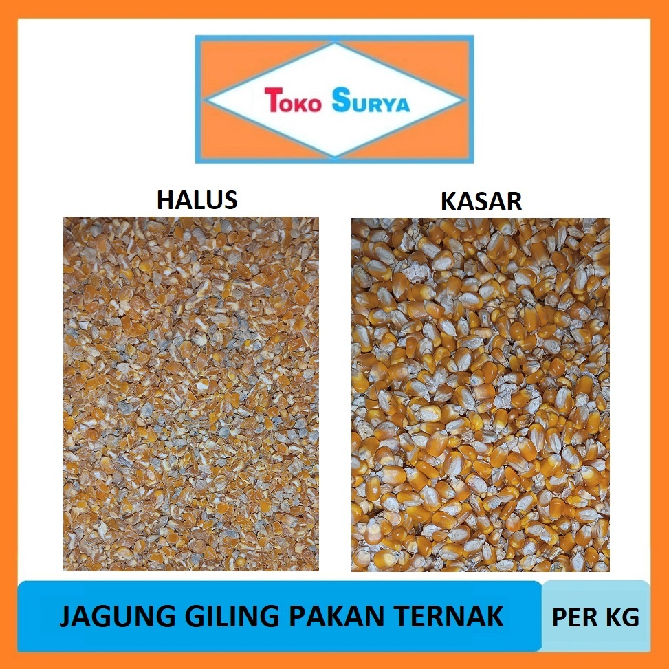 Jual Jagung Giling Kasar / Halus Pakan Ternak | Shopee Indonesia