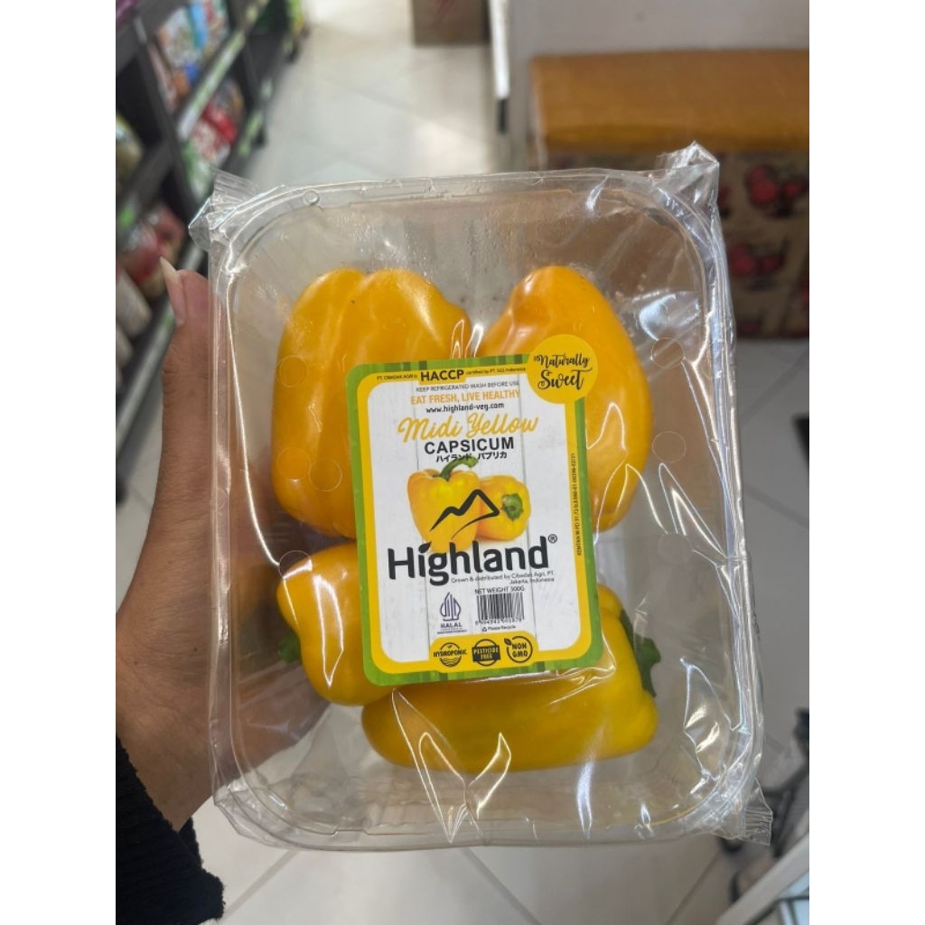 Jual Highland Baby Capsicum Midi Yellow 300 Grm | Shopee Indonesia