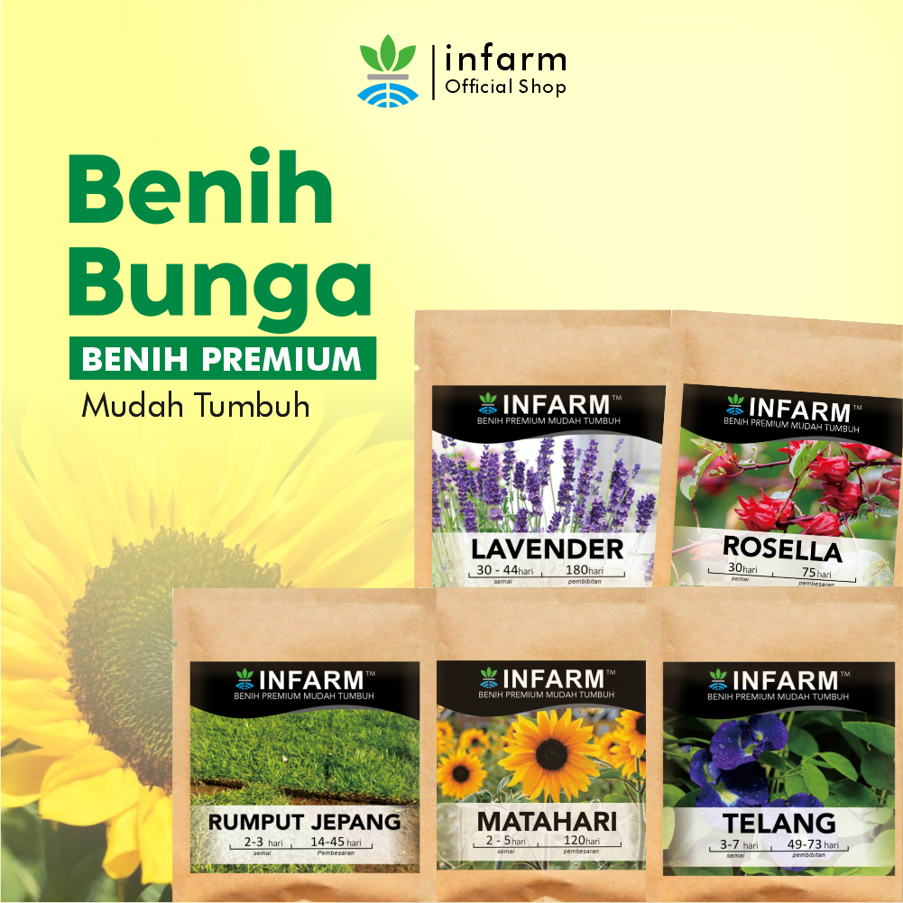 Jual Benih Bibit Unggul Bunga Matahari Telang Lavender Rosella Rumput ...