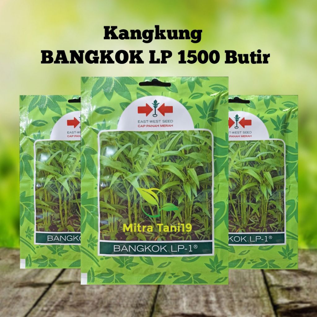 Jual CAP PANAH MERAH BENIH BIBIT TANAMAN KANGKUNG BANGKOK LP1 SP 1500 BUTIR | Shopee Indonesia