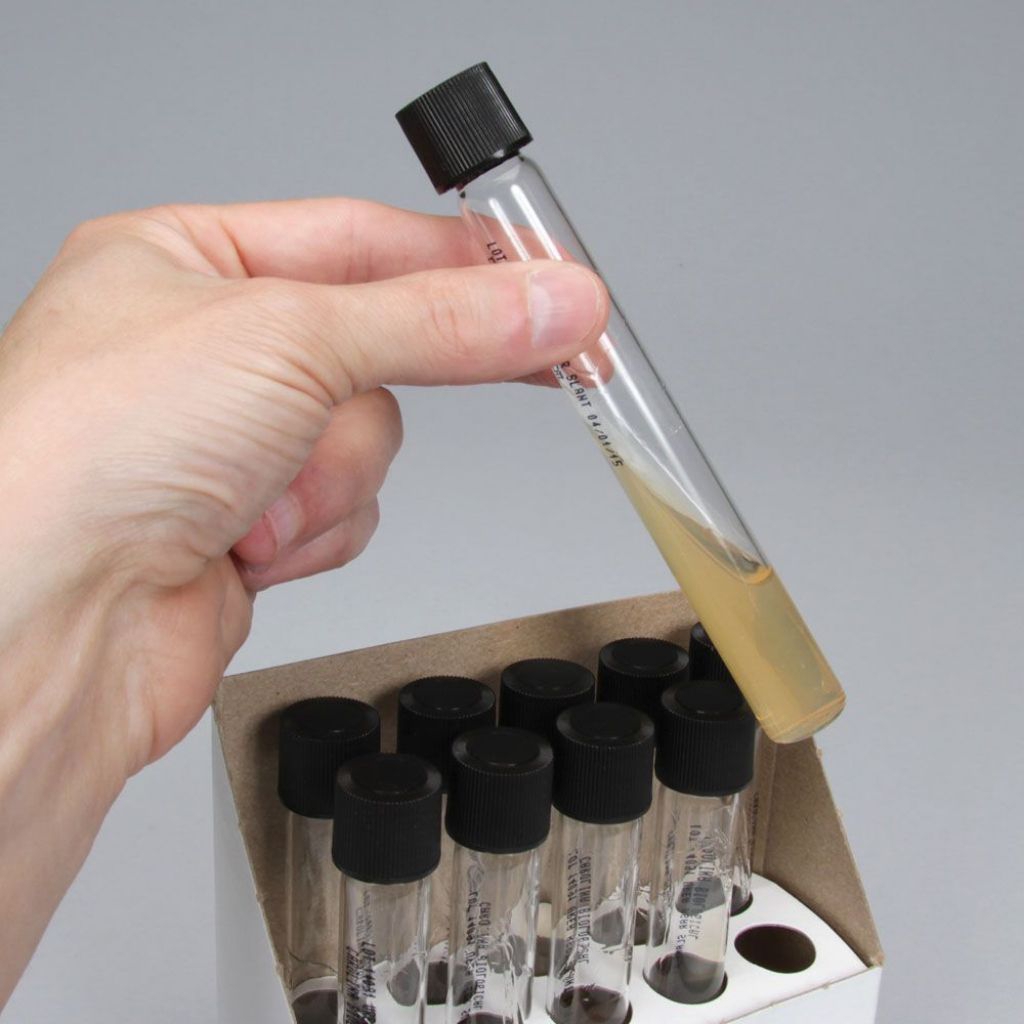 Jual Media Agar Miring untuk Pertumbuhan Bakteri Nutrient Agar Slant ...