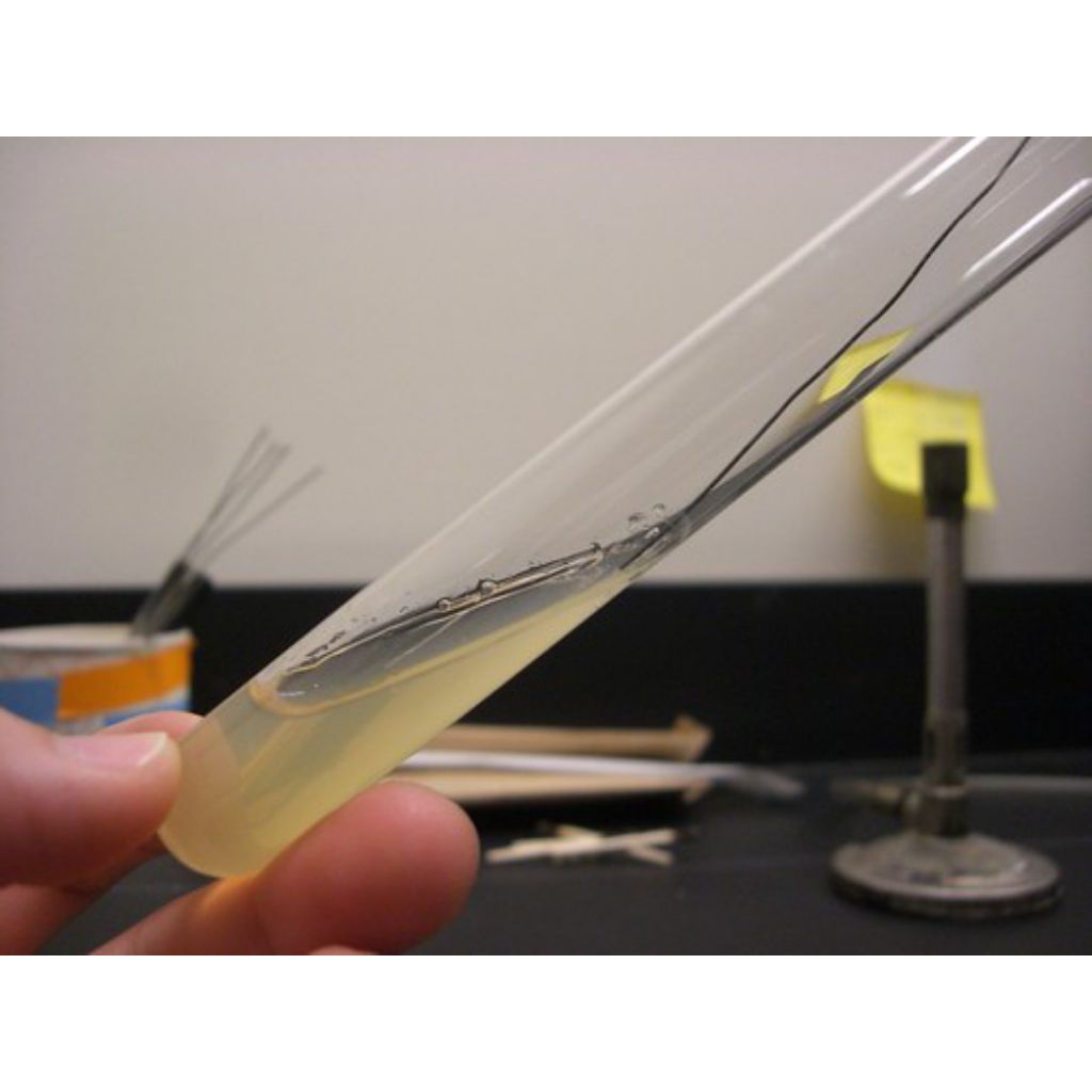 Jual Media Agar Miring PDA Slant (Potato Dextrose Agar) / Media Agar ...