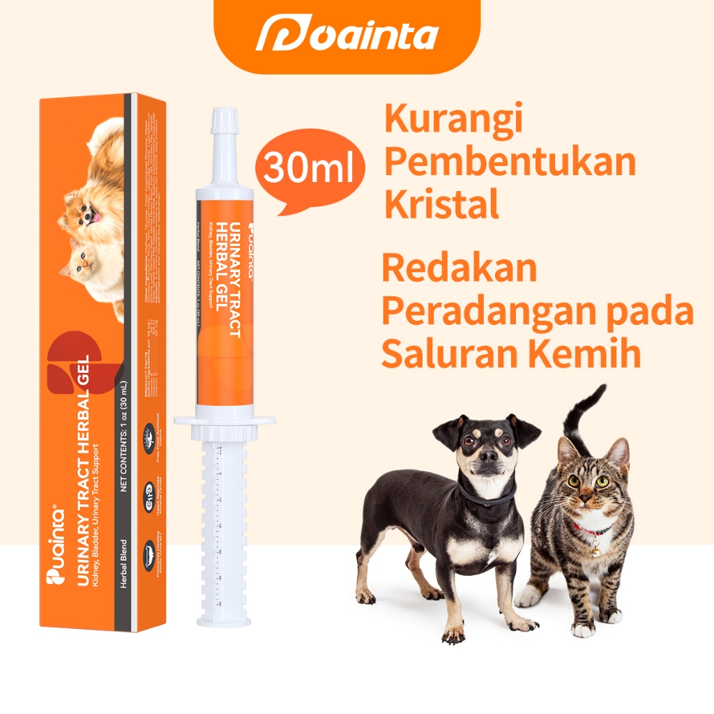 Jual Puainta 30ML Pet Urinary Tract Care Relieve Body Pain For Cats And ...