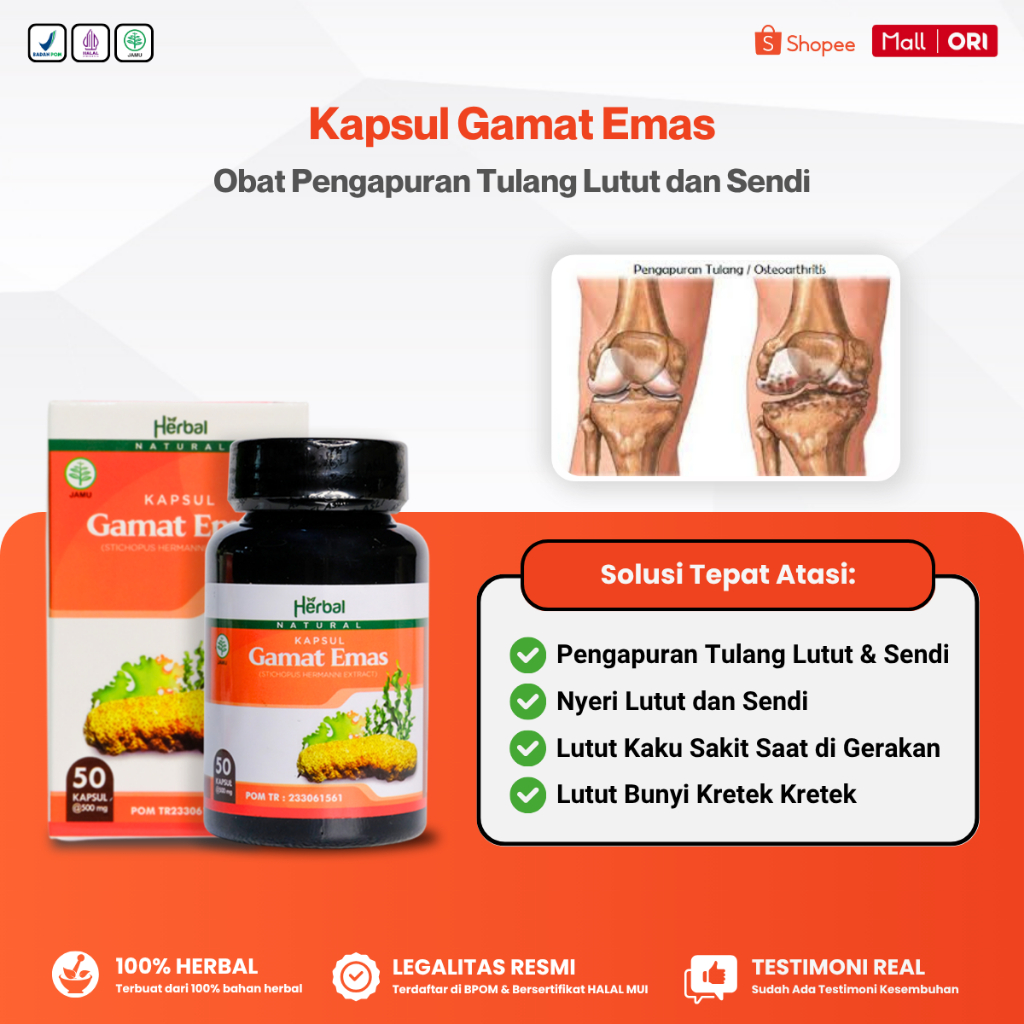 Jual Kapsul Gamat Emas - Obat Pengapuran Tulang Lutut dan Sakit Sendi ...