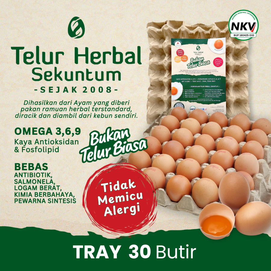 Jual Telur Herbal - Telur Omega 3, Bebas Antibiotik, Telur Ayam Anti ...