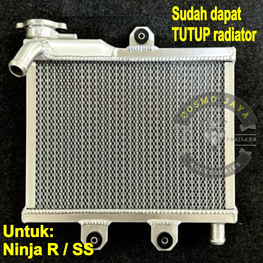 Jual Radiator Ninja R RR Spac Almu ZX Ori Thailand | Shopee Indonesia