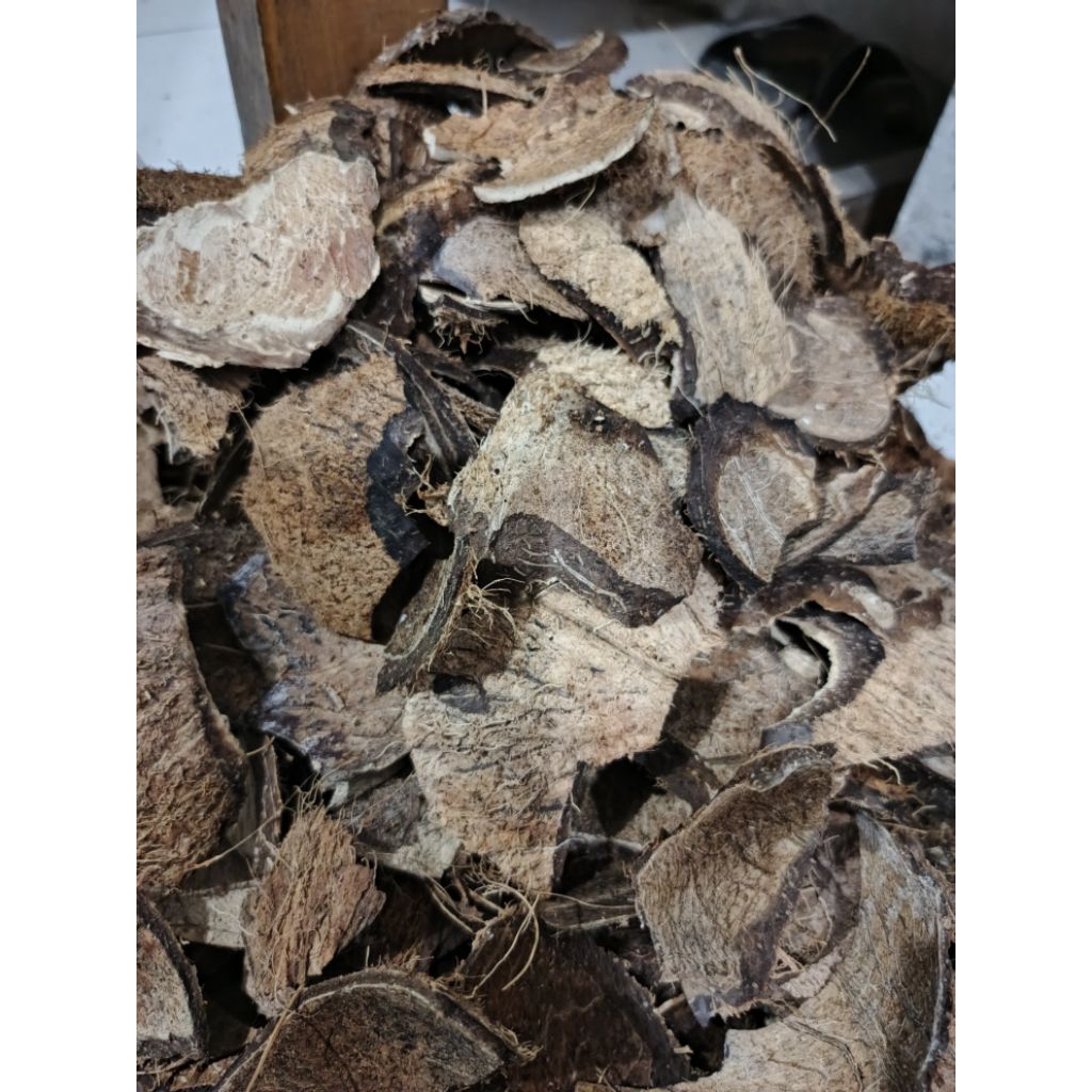 Jual BATOK KELAPA KERING PECAHAN TEMPURUNG CACAHAN 1KG UNTUK ARANG ...