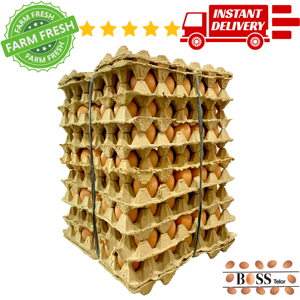 Jual TELUR AYAM NEGRI 15 KG/ 1 PETI FRESH | Shopee Indonesia