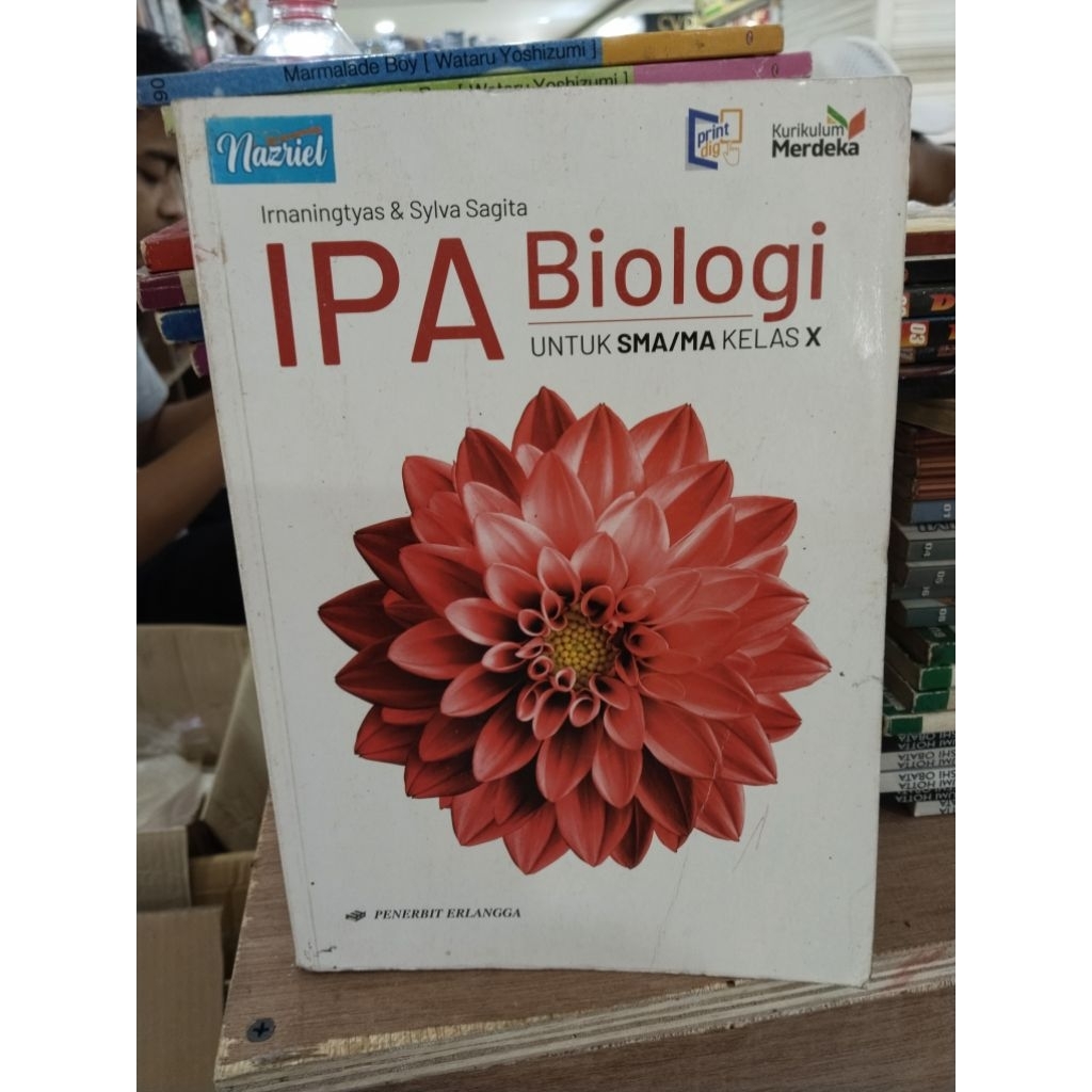 Jual ipa biologi sma kelas 10 kurikulum merdeka erlangga berwarna ...