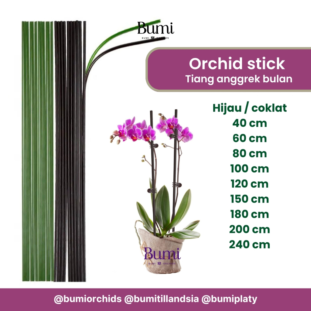 Jual BUMI ORCHIDS Tiang Penyangga Anggrek Bulan / Orchid Stick (Ukuran ...