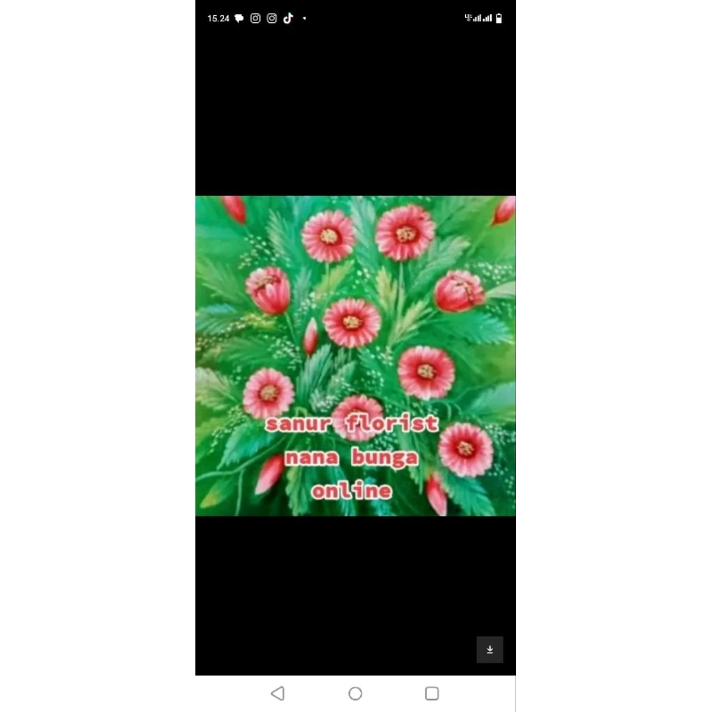 Jual paket live 100 RB kurang metan berat 3kg jangan lupa kasih keterangan | Shopee Indonesia