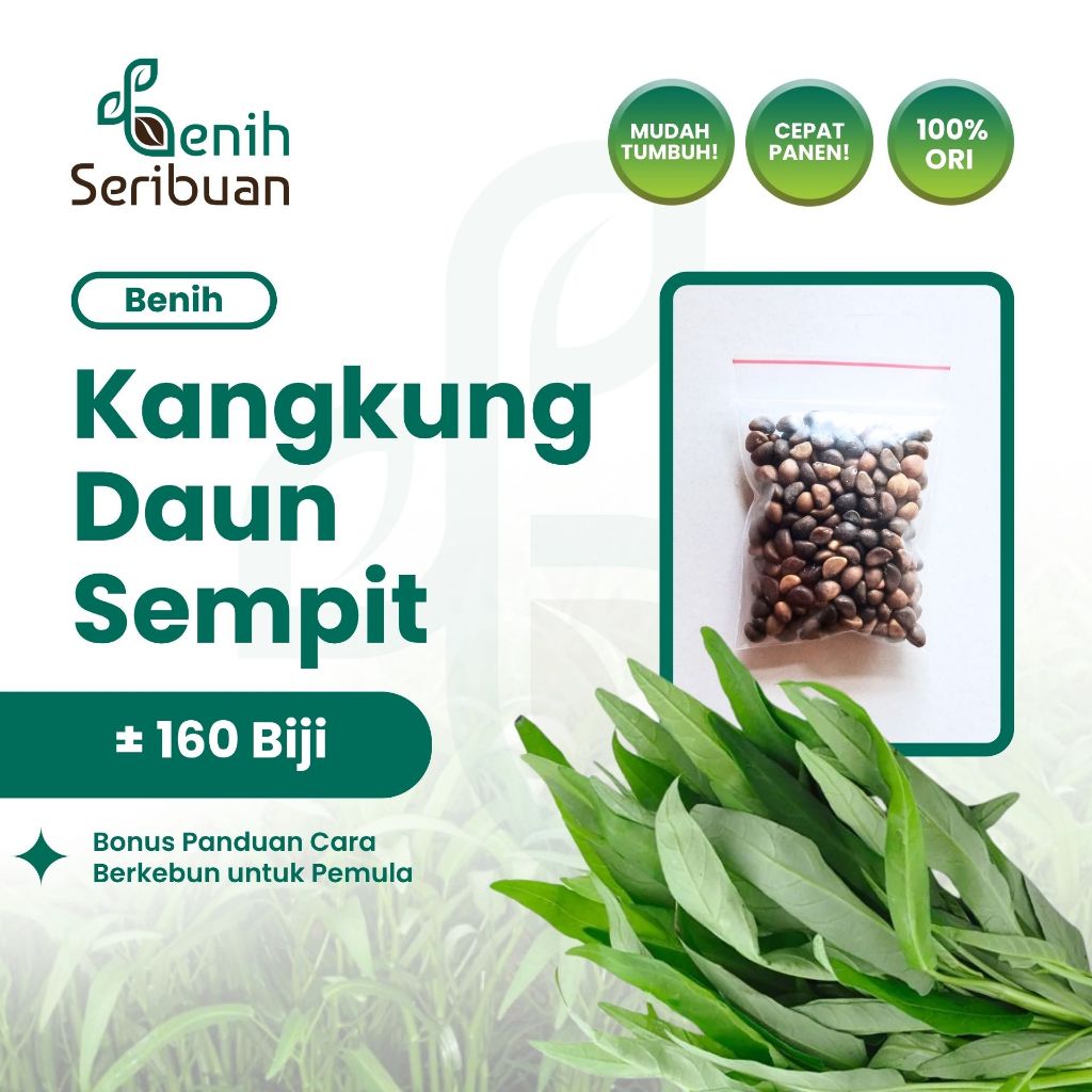 Jual Benih Seribuan - 160 Benih Sayuran Kangkung Daun Sempit | Shopee ...