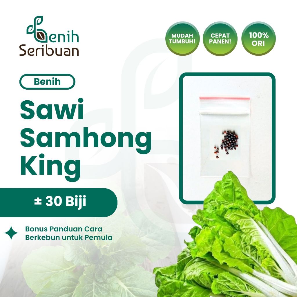 Jual Benih Seribuan - 30 Benih Sayuran Sawi Samhong King Unggulan ...