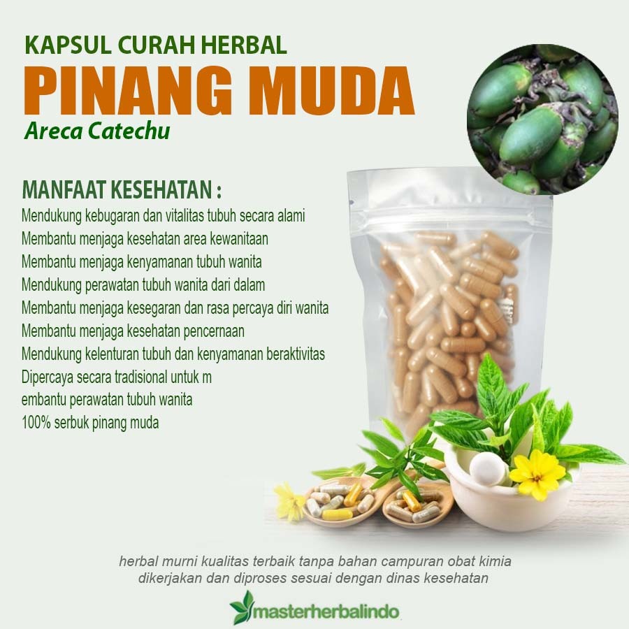 Jual PINANG MUDA 200x600mg Kapsul Curah Herbal Penunjang Stamina Kesehatan Mata | Shopee Indonesia