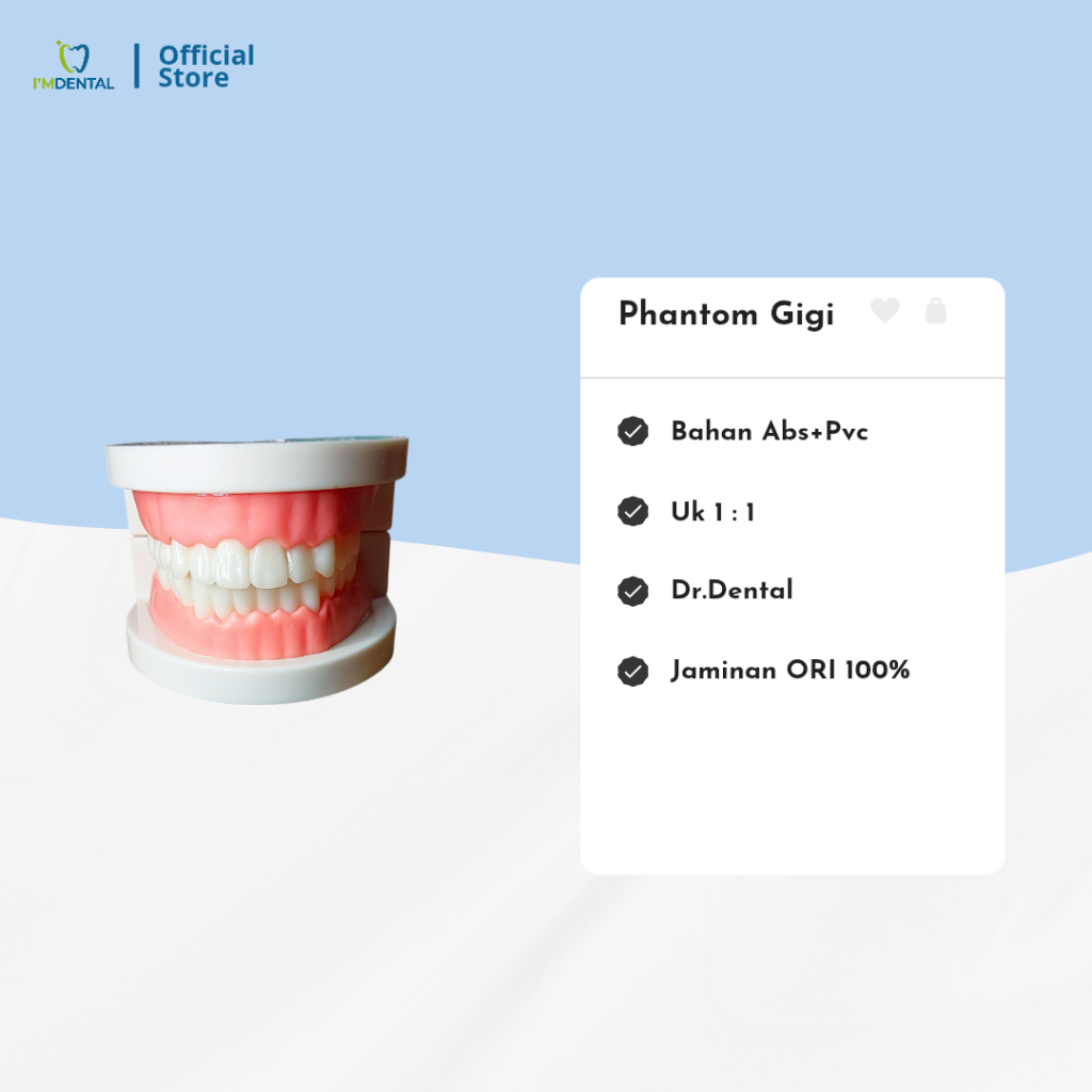 Jual Phantom Model Gigi Palsu Alat Peraga Dental Study Mahasiswa Dokter ...