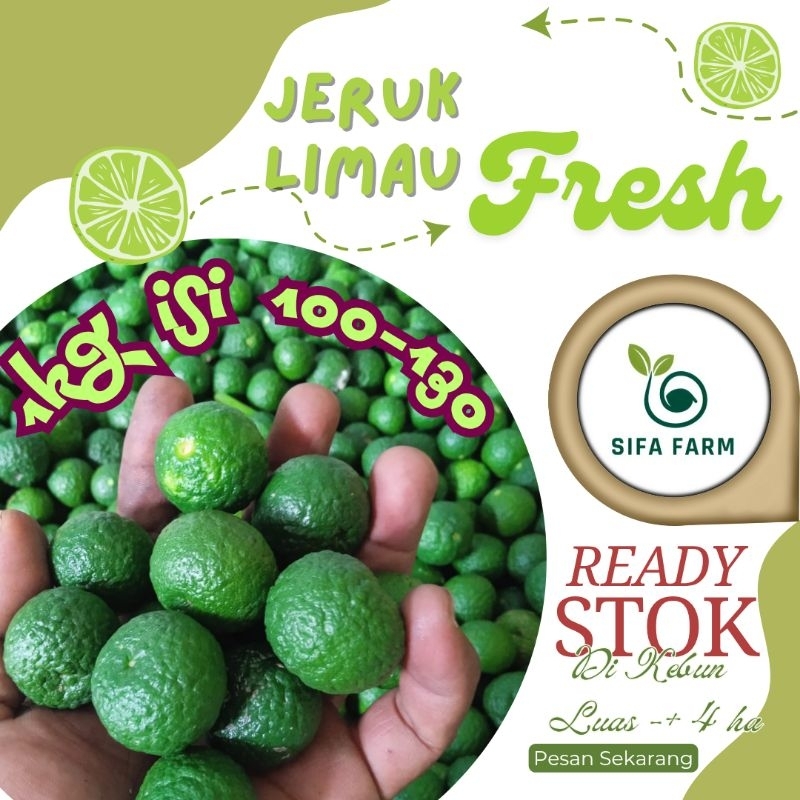 Jual SIFA FARM | Jeruk limau | limo 1 Kg Ukuran Kecil Baso Aci| isi 100 ...