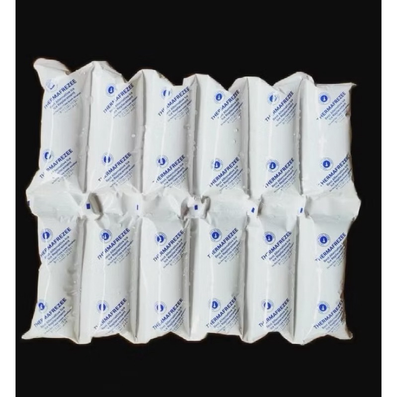 Jual ICE GEL PENGGANTI DRY ICE | Shopee Indonesia