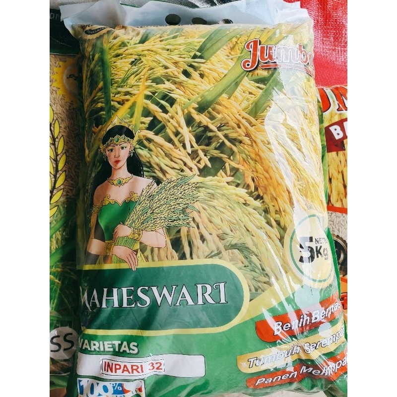 Jual BENIH PADI INPARI 32 MAHESWARI ORIGINAL 5KG | Shopee Indonesia