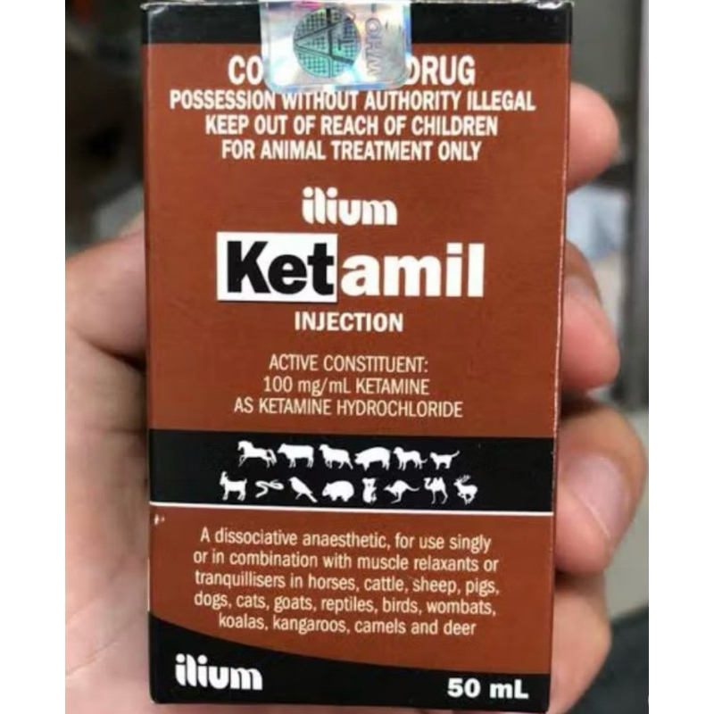 Jual KetAmil Ilium Obat Untuk Hewan Original | Shopee Indonesia