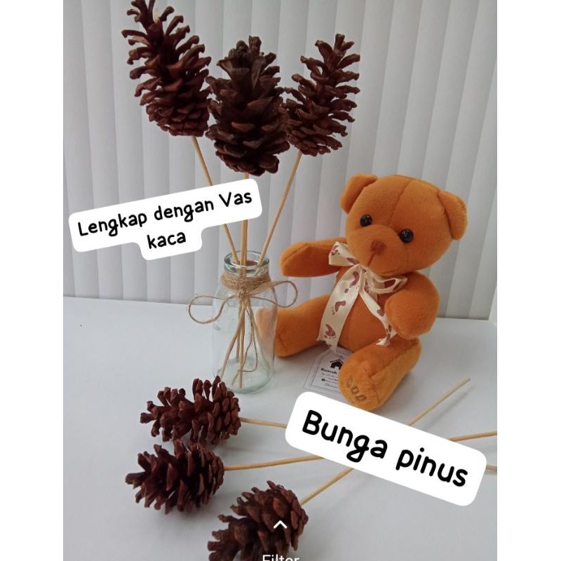 Jual Bunga pinus kering | Bunga pinus kering dan Vas kaca cantik ...