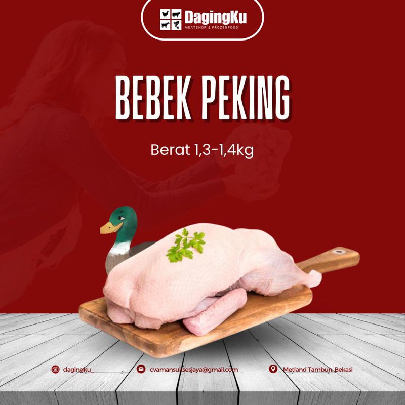 Jual Bebek Paking/Baby Duck per 1 ekor | Shopee Indonesia