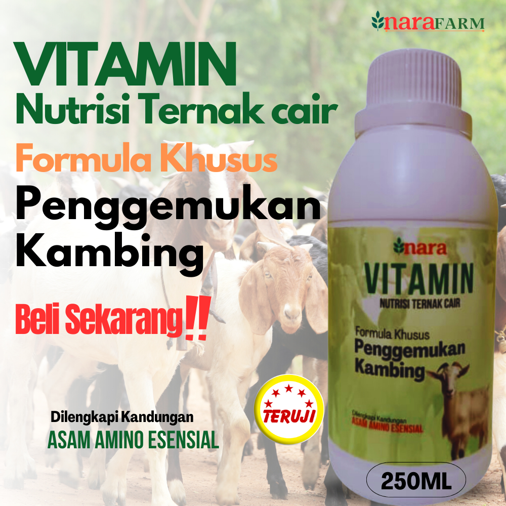 Jual Vitamin Penggemuk kambing,Vitamin ternak Meningkatkan Nafsu Makan ...