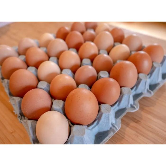 Jual Telur Ayam Lokal Grade A Bersih Segar 1 Rak (30 Butir) | Shopee ...