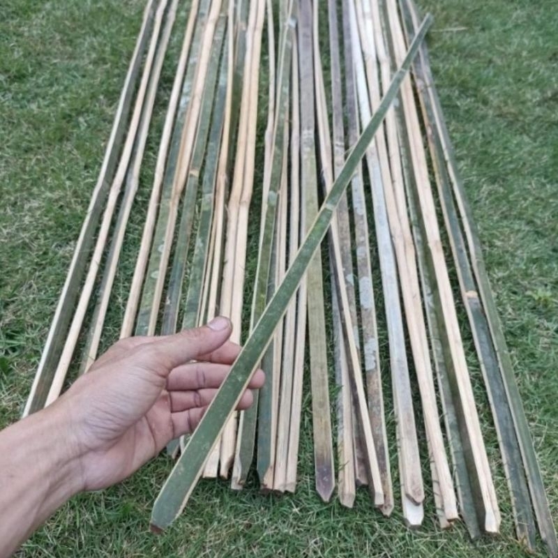 Jual Bambu Ajjr / Bambu Turus Tanaman Panjang 100cm | Shopee Indonesia