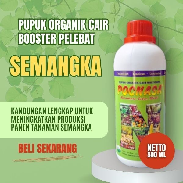 Jual Pupuk Organik Cair Booster Buah Semangka Non Biji Merah Kuning Inul Terbaik | Shopee Indonesia