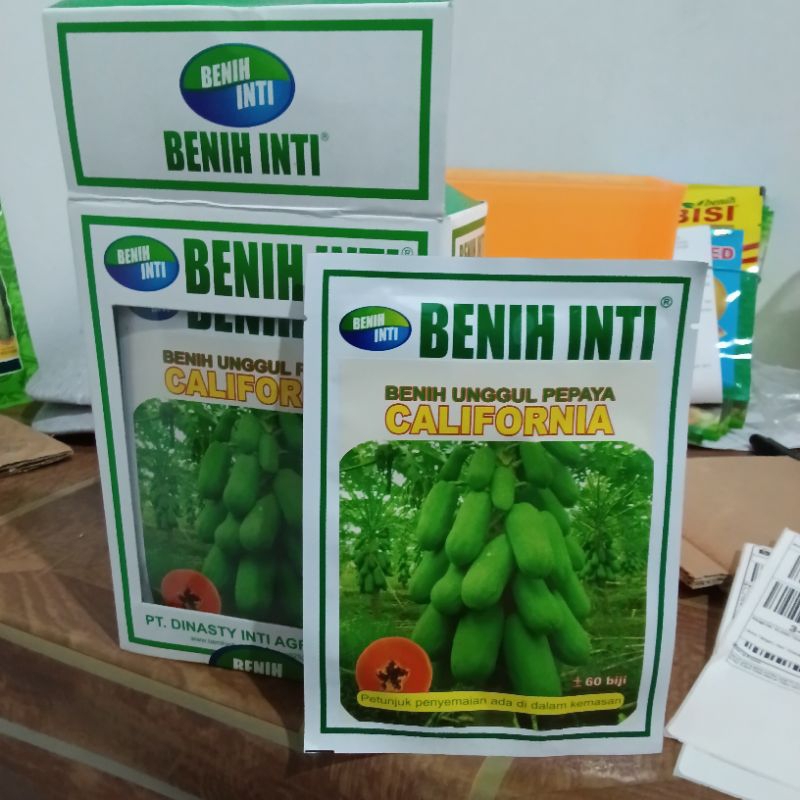 Jual Benih Bibit Pepaya California isi 1 gram kemasan 60 butir /READY ...
