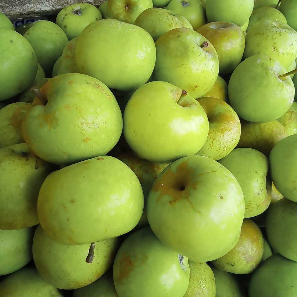 Jual apel malang hijau mini 1 kg | Shopee Indonesia