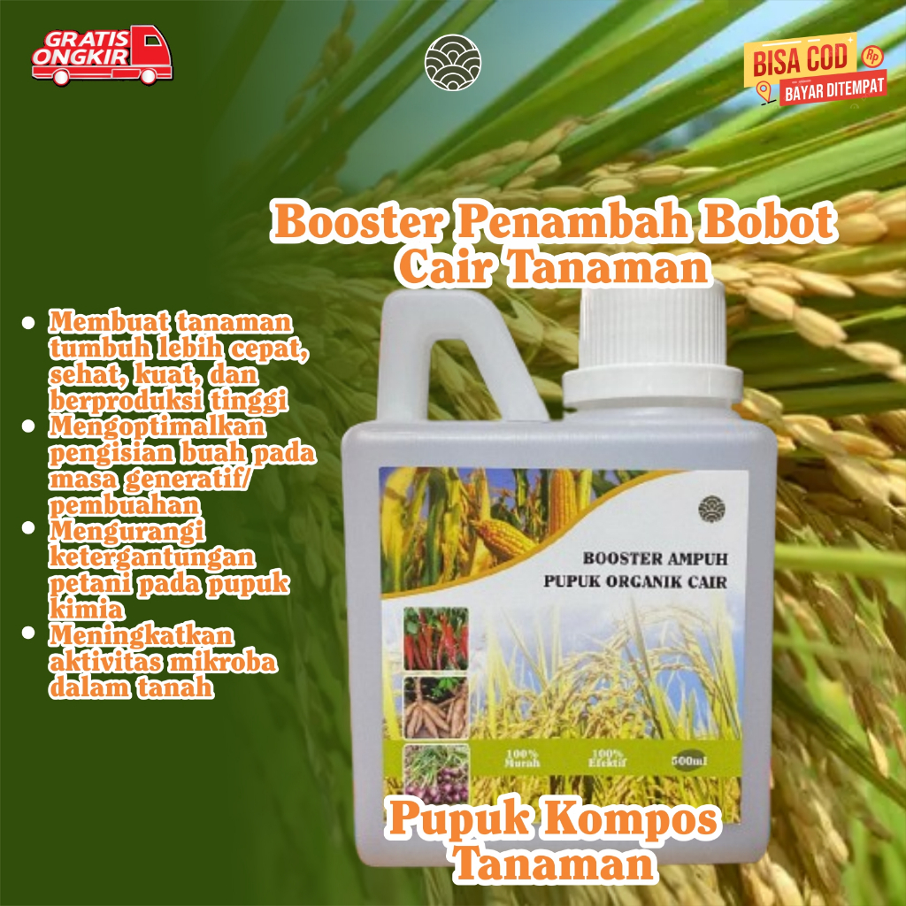 Jual Penambah Bobot padi Jagung Booster Tanaman Tumbuhan KCL Cair 1 Liter Plus GA3 Kalizer ...