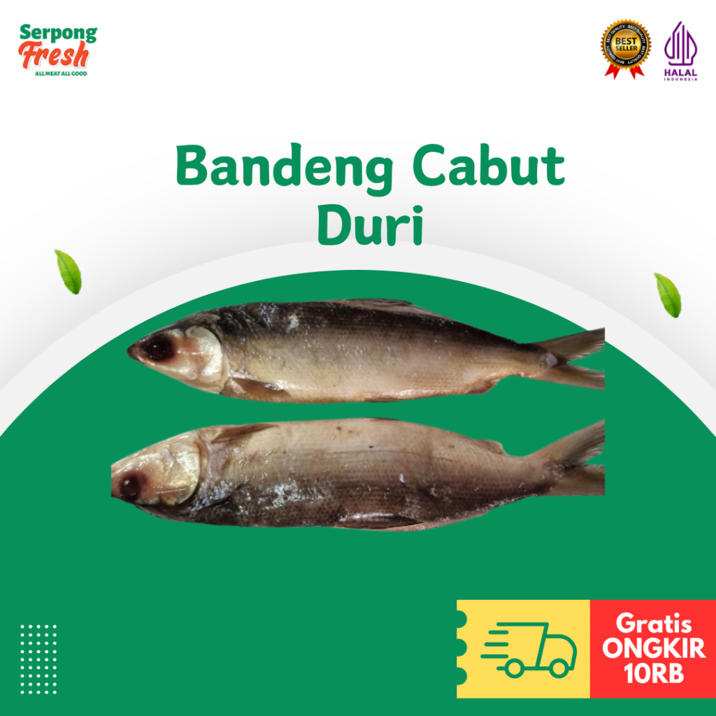 Jual Bandeng Cabut Duri (Milk Fish) | Shopee Indonesia