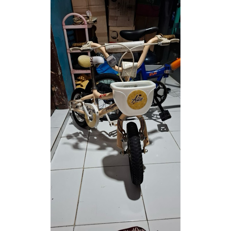 Jual sepeda anak polygon | Shopee Indonesia
