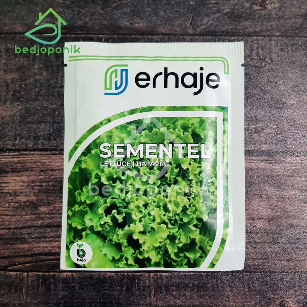 Jual 1000 pills SEMENTEL bejo seed Benih Lettuce Batavia Benih Selada ...