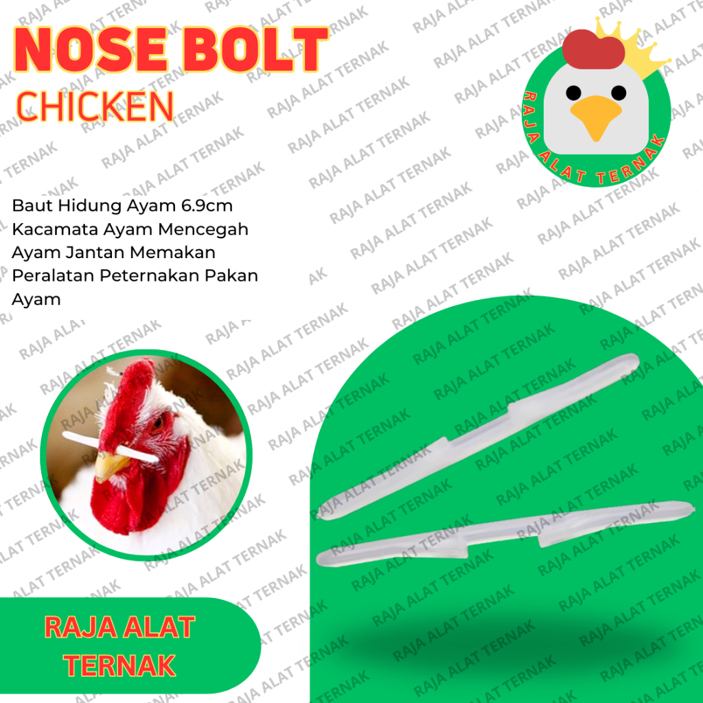 Jual Chicken Nose Bolt / Baut Hidung Ayam 6,9 cm - Alat Ternak Ayam ...