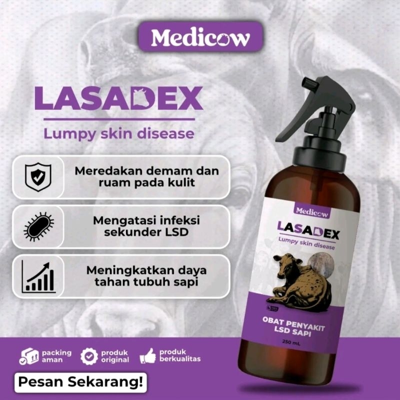 Jual LASADEX spray , mengobati penyakit LSD (lumpy skin disease) atau ...