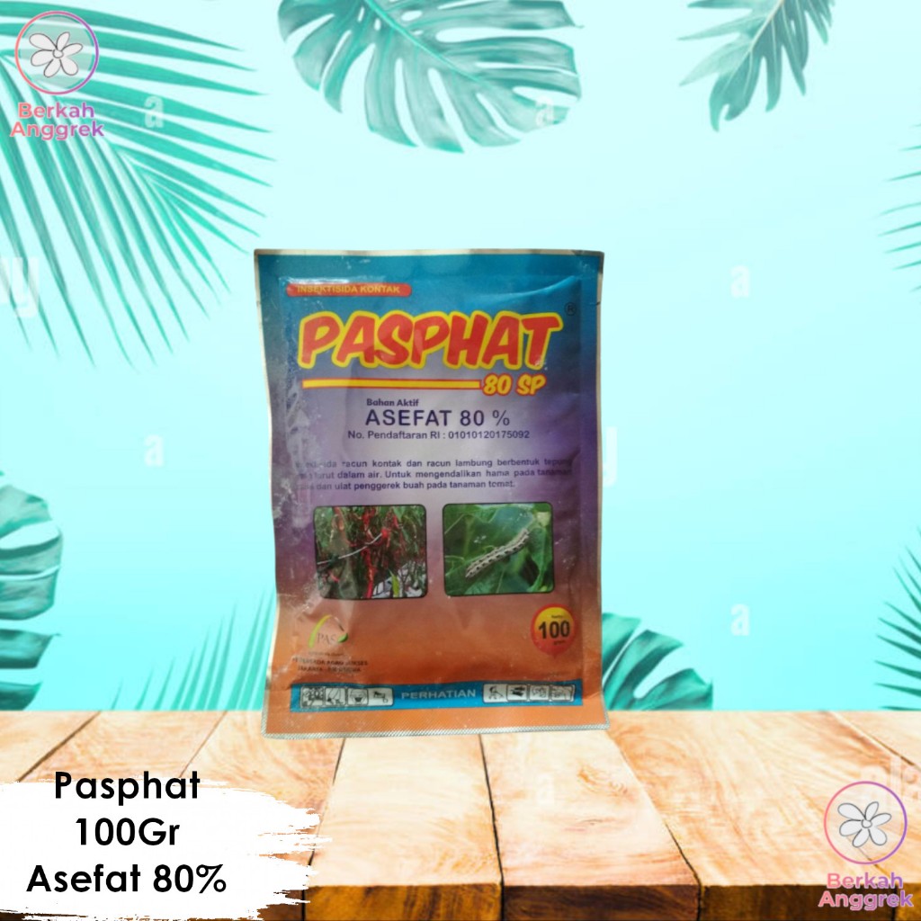 Jual Pasphat Prosefat 100 Gram Insektisida Asefat | Shopee Indonesia