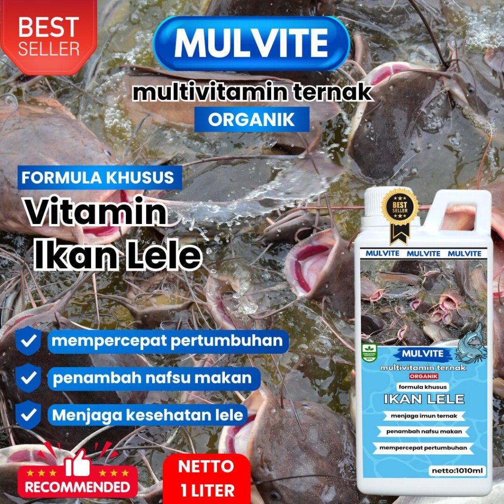 Jual MULVITE IKAN LELE, VITAMIN Ikan Lele Agara Cepat Besar 1010 Ml Probiotik Pemacu Pertumbuhan ...