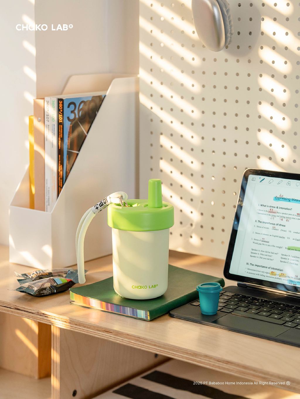 Jual CHAKO LAB BOBO Vacuum Cup Insulated Thermos 485ml - Pistachio ...