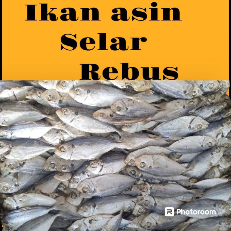 Jual Ikan Asin Selar Rebus | Shopee Indonesia