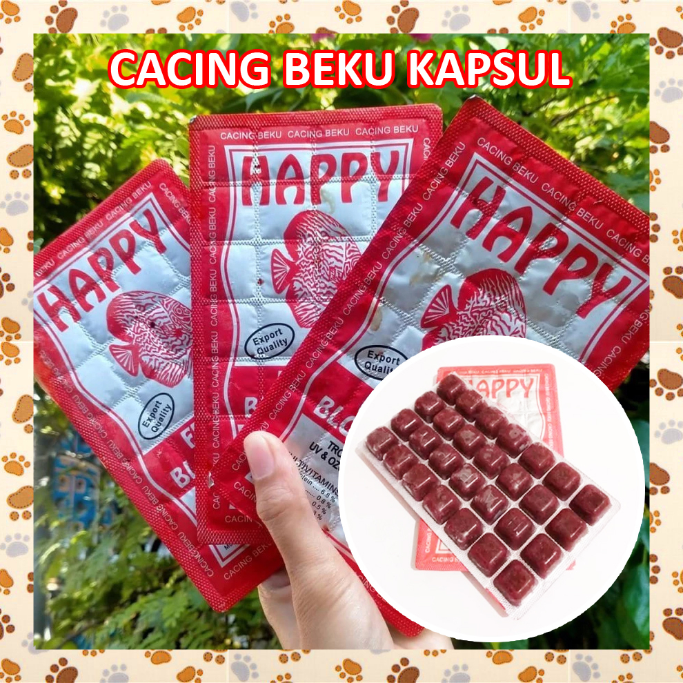 Jual B49FZR Cacing Beku KAPSUL HAPPY Cabek Darah Bloodworm Segar 28 ...