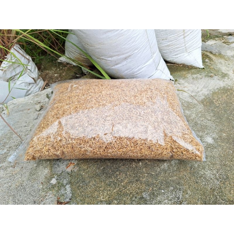 Jual Sekam Mentah sekam padi ukuran karung besar 50kg 50 kg bukan sekam ...