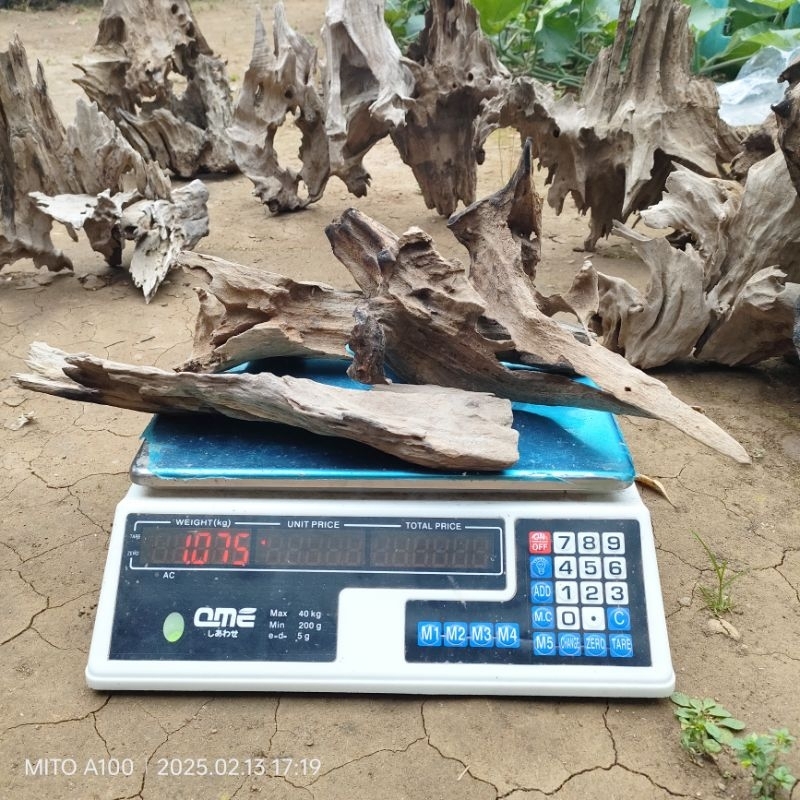 Jual kayu rentek 1kg dekorasi paludarium | Shopee Indonesia
