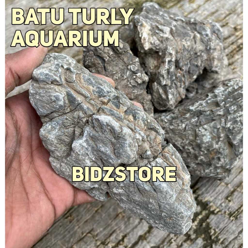 Jual Batu Turly Aquarium aquascape 1kg | Shopee Indonesia