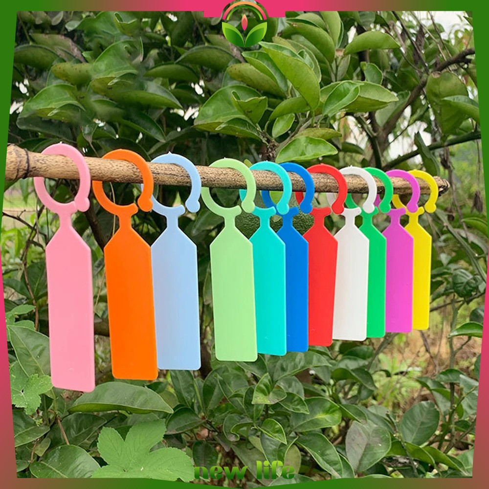 Jual Label Penanda Tanaman Hanging Ring Plant Name Tag Label Gantung / Label Tag Tanaman Name ...