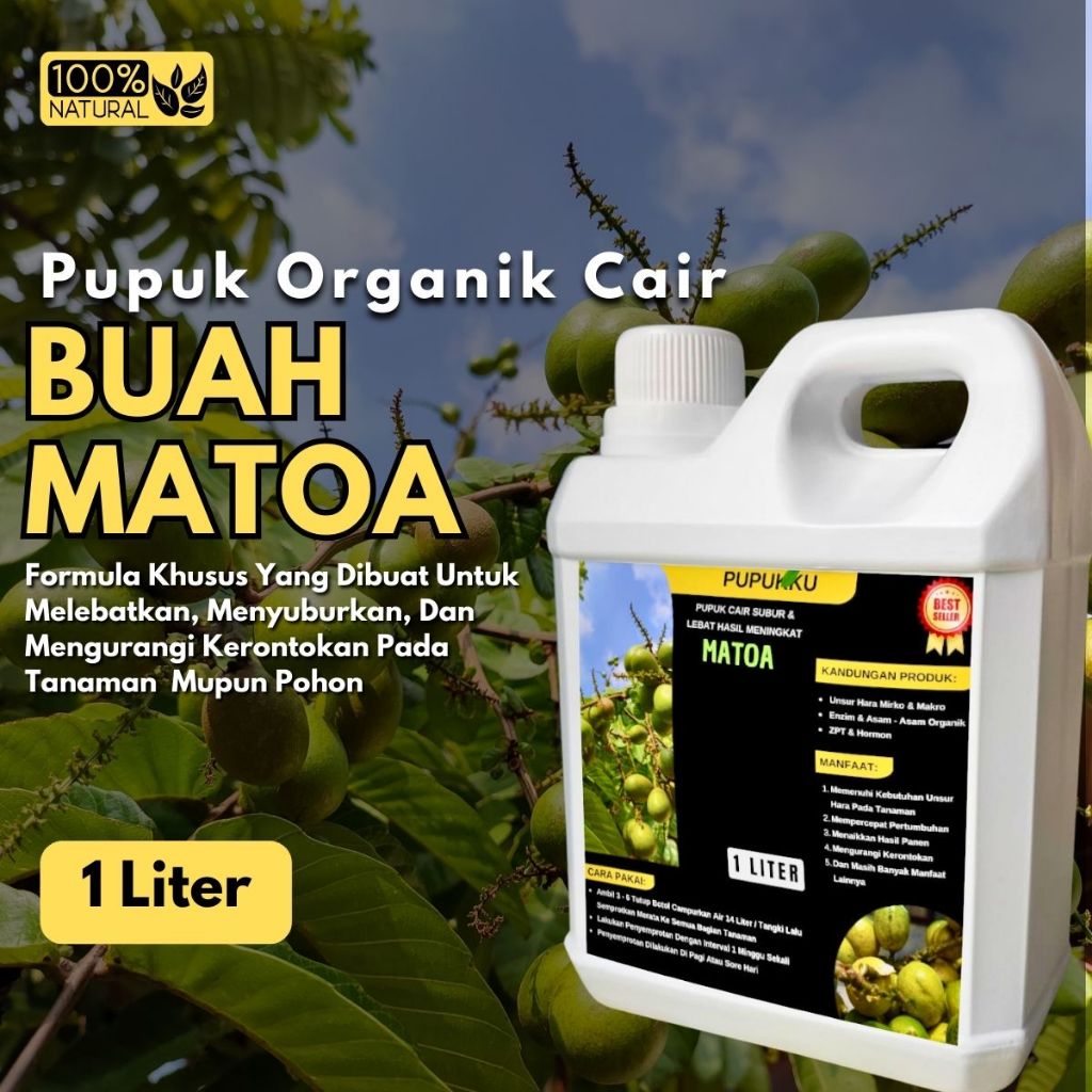 Jual Pupuk Buah Matoa Pelebat Buah Pupuk Booster Pelebat Buah Matoa | Shopee Indonesia