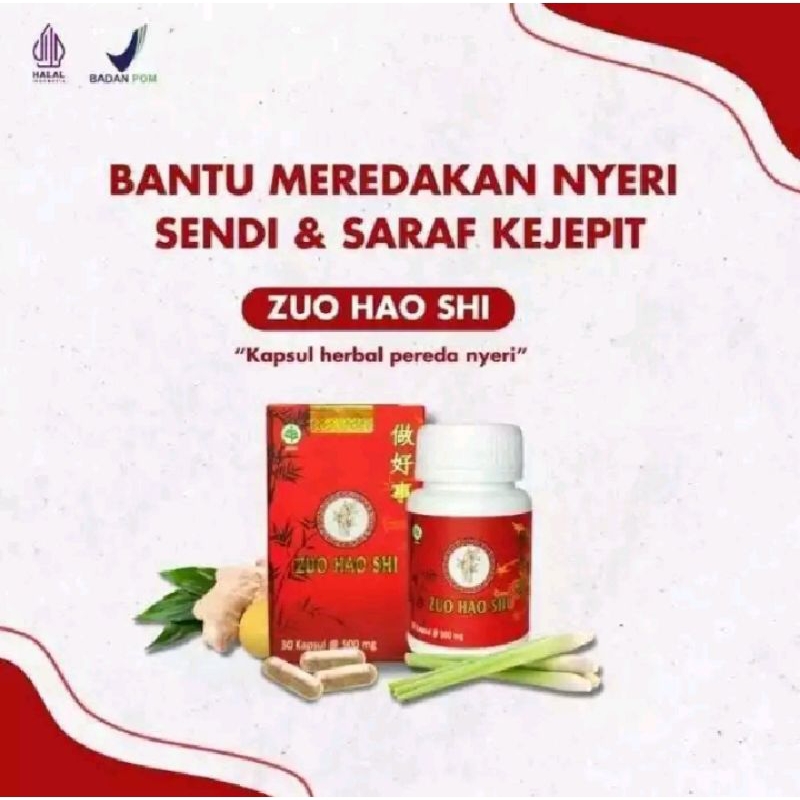 Jual ZUO HAO SHI asli obat saraf kejepit nyeri sendi terbukti ampuh 100 ...