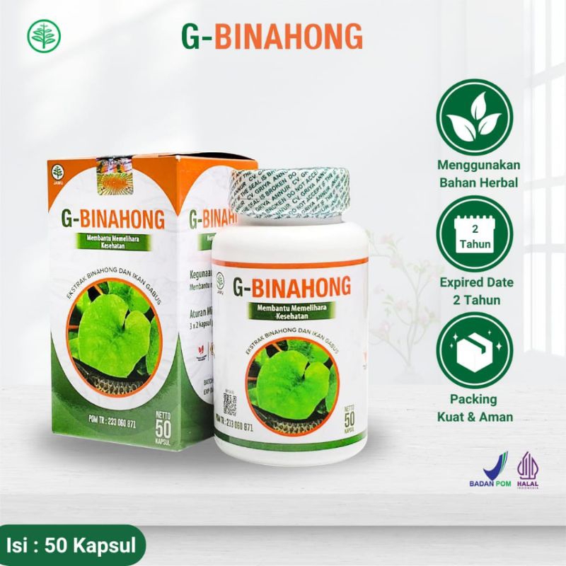 Jual G Binahong Kapsul 100 Original Asli Daun Binahong Ekstrak Plus Albumin Ikan Gabus | Shopee ...